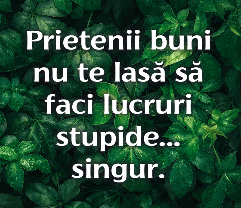300 Statusuri de Viață grea și fericită - Adevărate lecții de viață ...