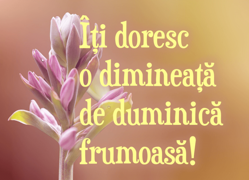 155 Mesaje de Duminică (Binecuvântată și Frumoasă) - Atât De Fain